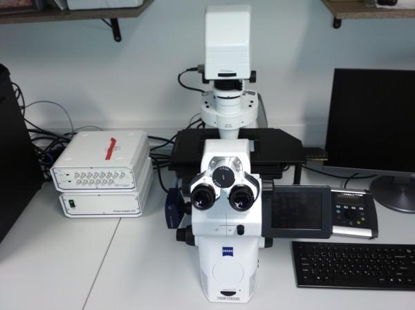 Inverted microscope - Ruđer Bošković Institute