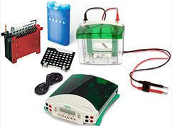 Sustav za vertikalnu elektroforezu BIORAD Mini-PROTEAN Tetra - Institut ...