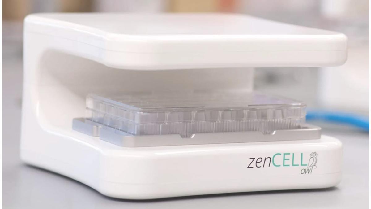 Zen Cell Owl microscope - Institut Ruđer Bošković