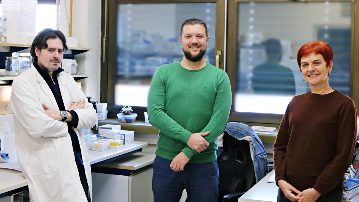 Novi krvni biljeg za metastatski rak prostate - Institut Ruđer Bošković